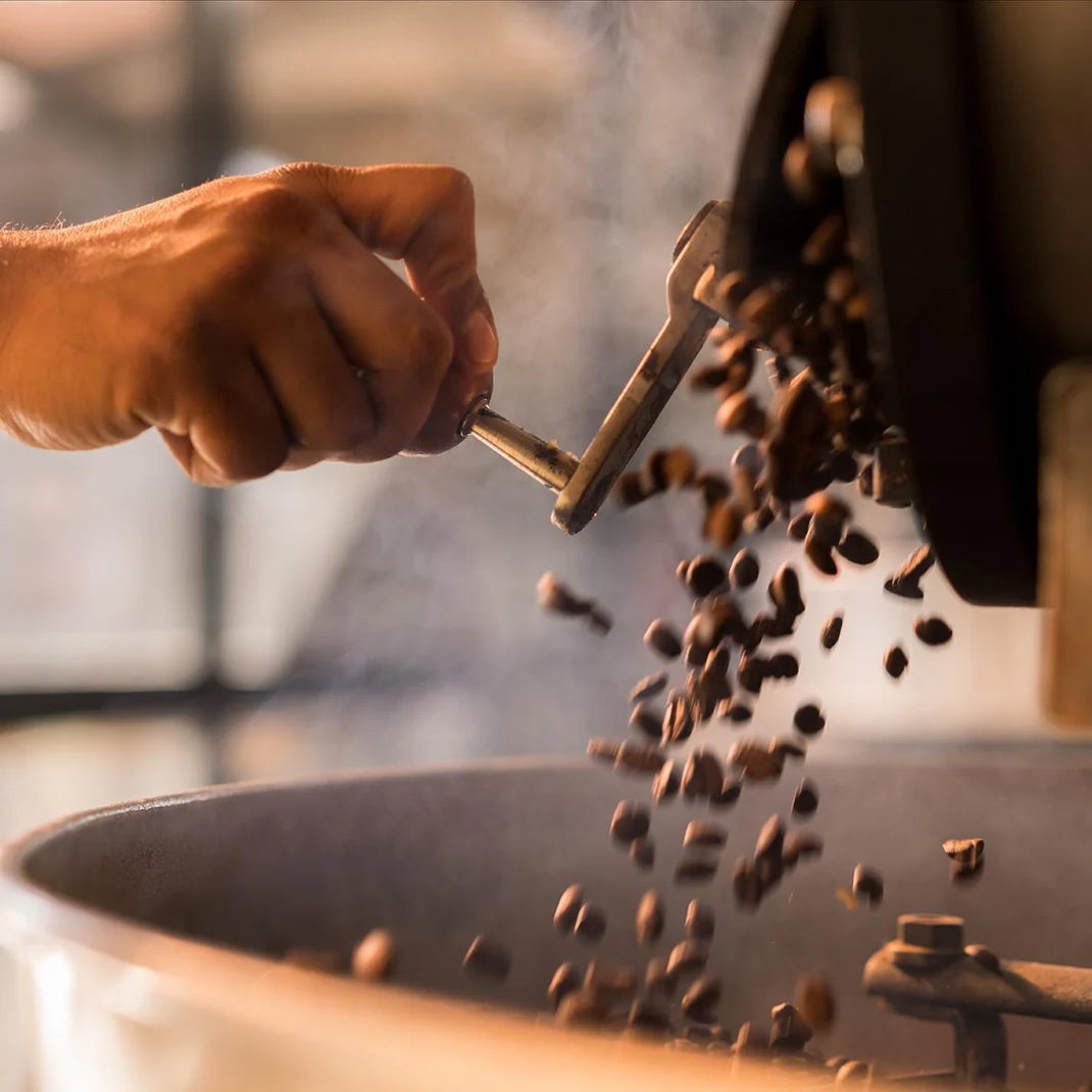 Experiences – Dieseldorff Coffee